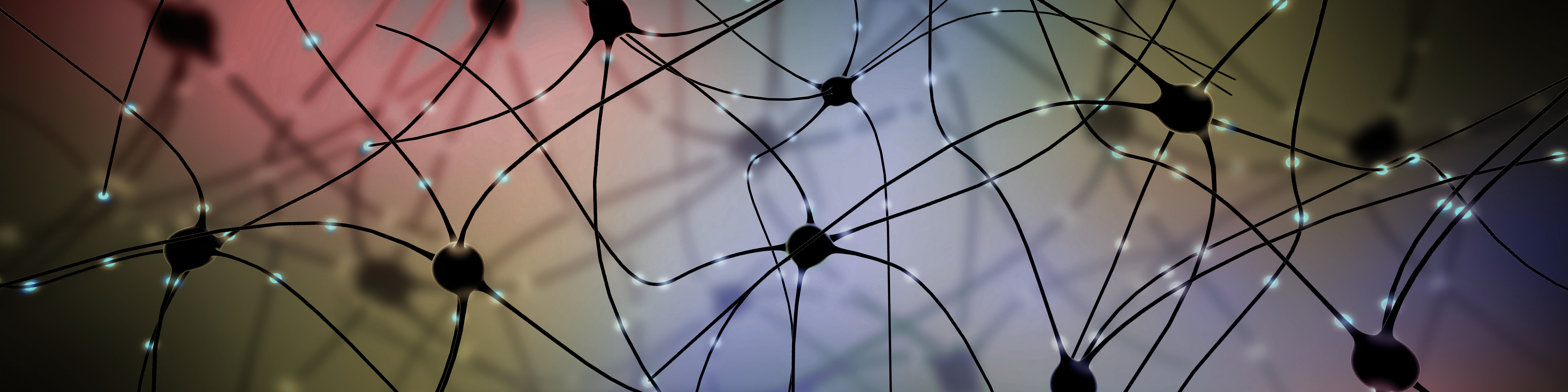 NSF CREST D-MAP Center - TReNDS